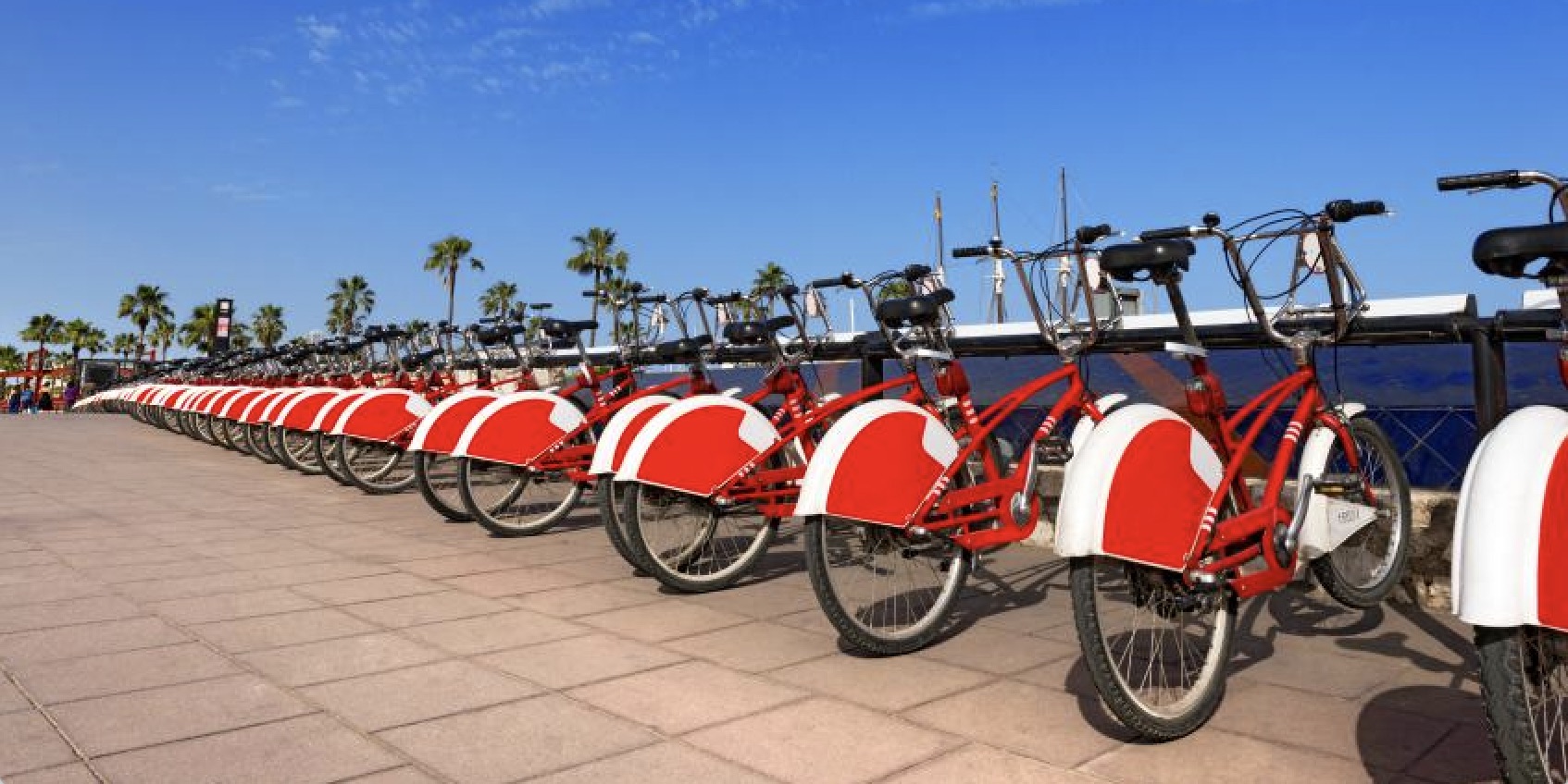 David Jiang Portfolio